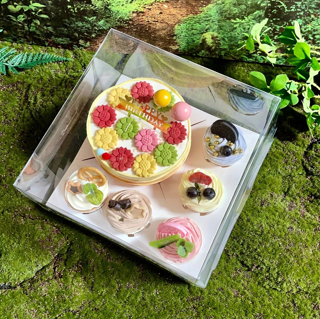 10 Sets Clear Bento Boxes,transparent Cake and Cupcakes Boxes,hold 1 ...