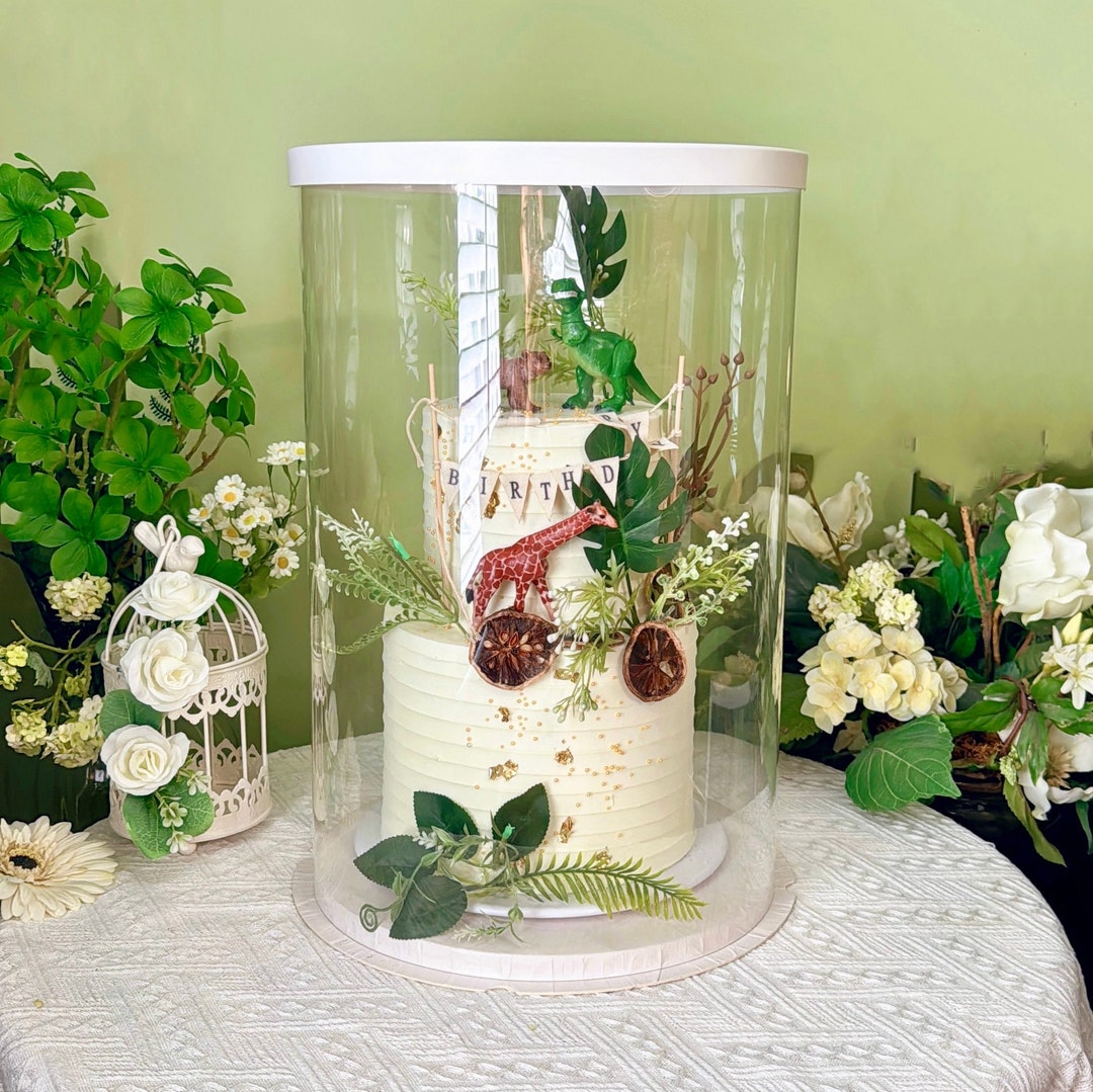 Tall Clear Cake Box: Tiered Cake Display, Wedding & Birthday (5 Sets ...