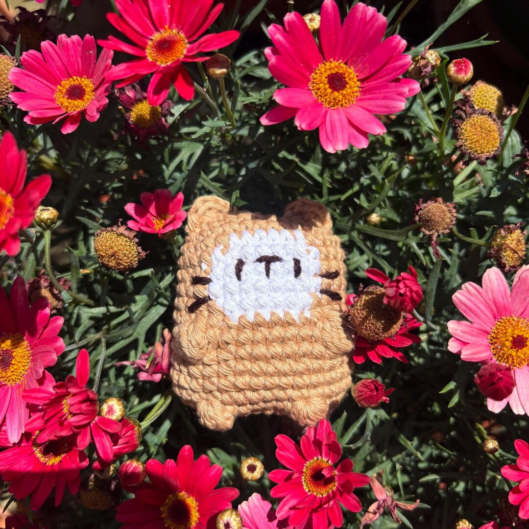 Pudgy Cat Amigurumi Crochet Doll - Etsy