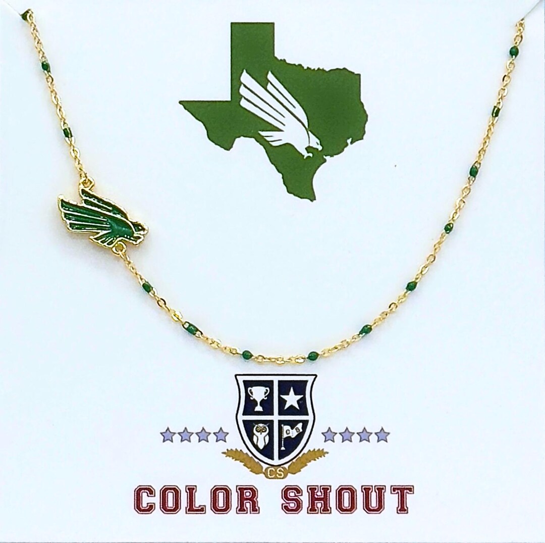 The University of North Texas Necklace: Side Set UNT Logo on Enamel ...