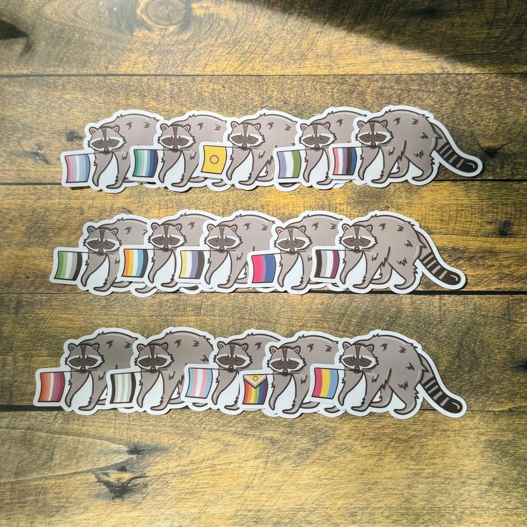 Raccoon Pride Flag Sticker Matte Queer LGBTQ Waterproof Bottle Laptop ...