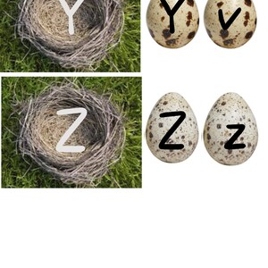 Nature Alphabet Matching Activity Cards/toddler, Preschool ...