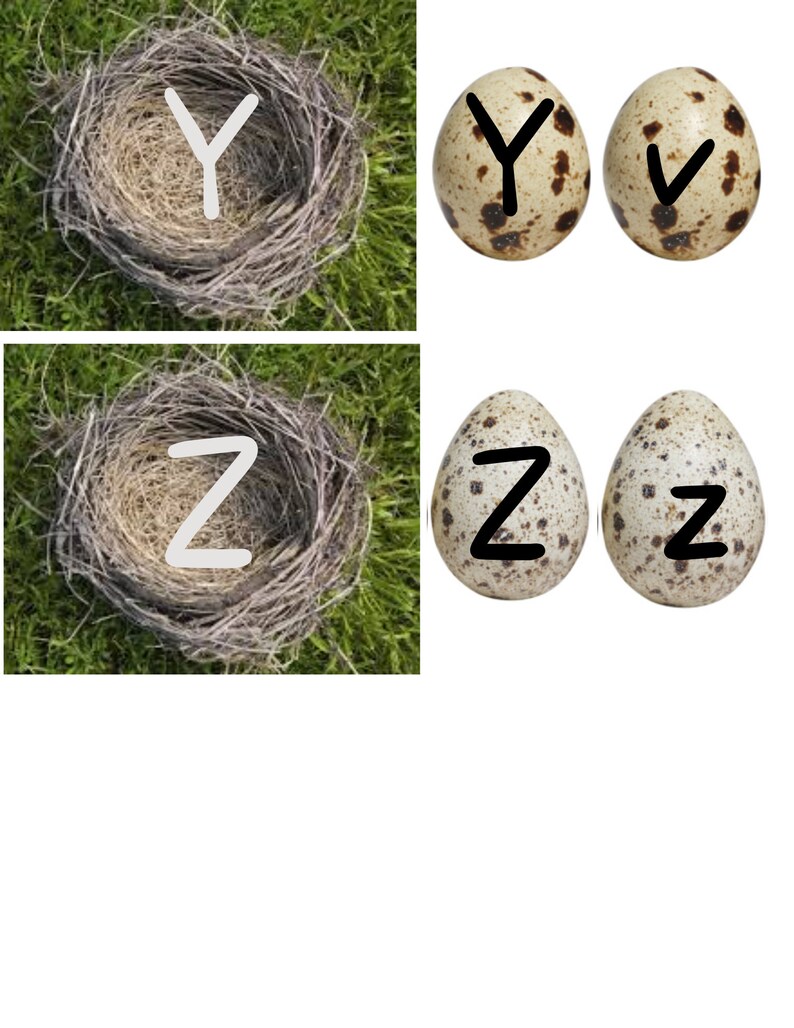 Nature Alphabet Matching Activity Cards/toddler, Preschool ...