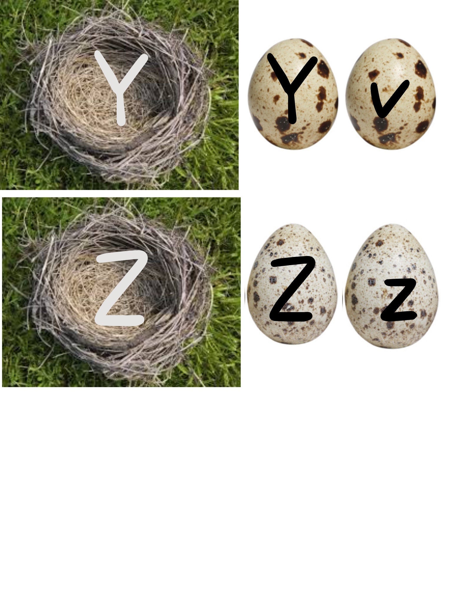 Nature Alphabet Matching Activity Cards/toddler, Preschool ...