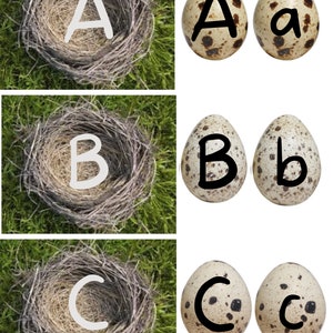 Nature Alphabet Matching Activity Cards/toddler, Preschool ...