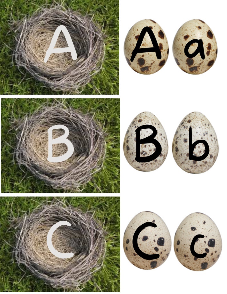 Nature Alphabet Matching Activity Cards/toddler, Preschool ...