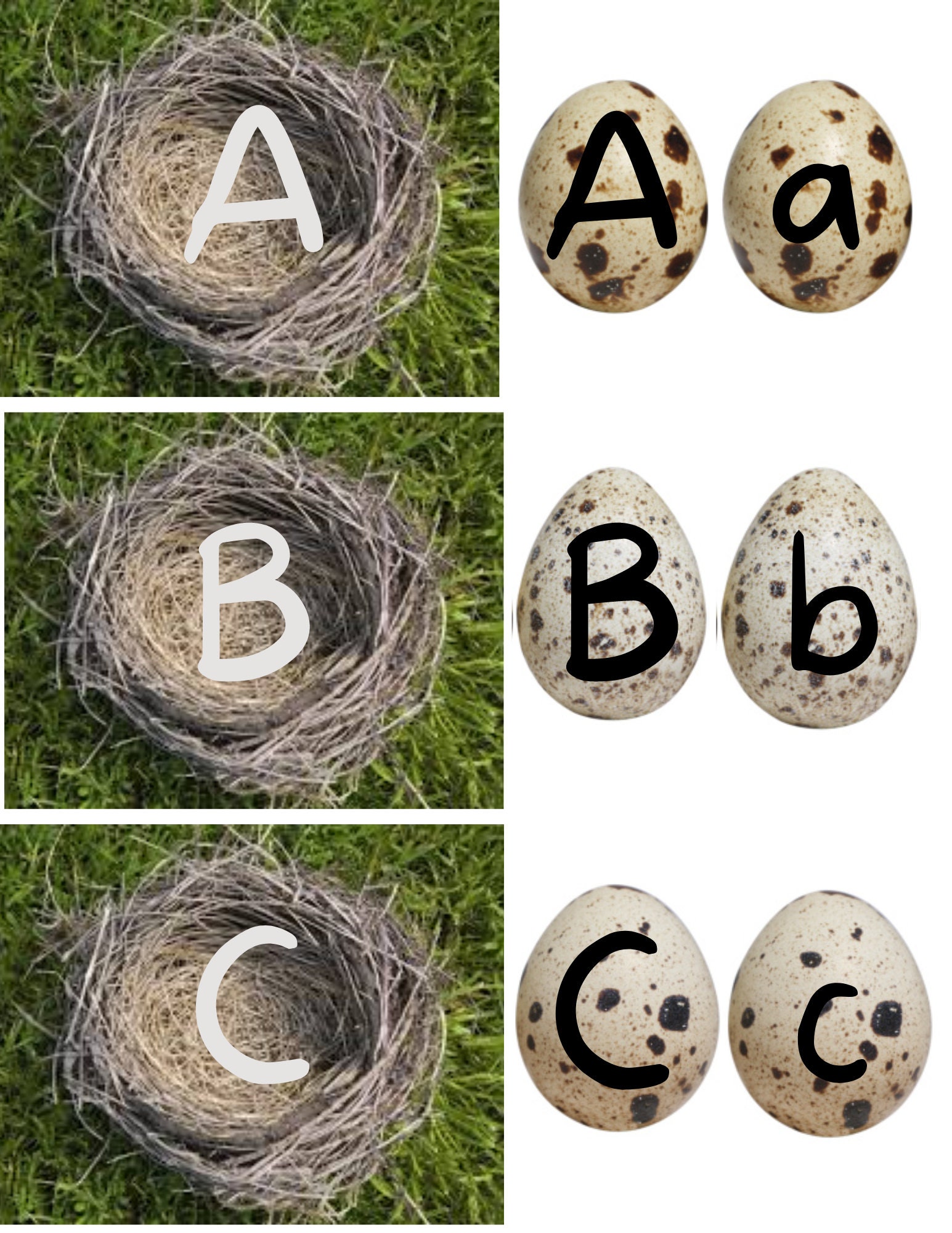 Nature Alphabet Matching Activity Cards/toddler, Preschool ...