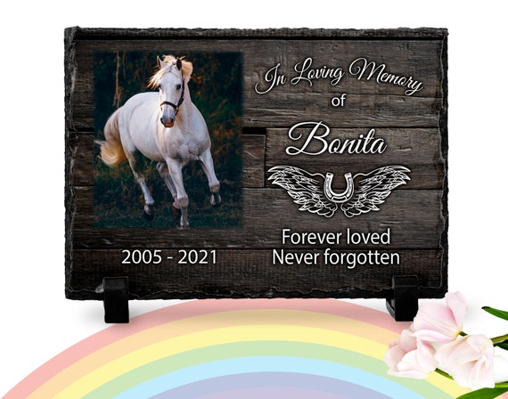 Horse Keepsakes Horse Memorial Horse Loss Gift | Etsy