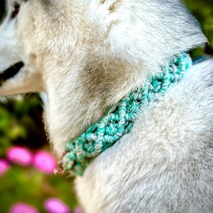 Handmade Macrame Dog Collar - Etsy