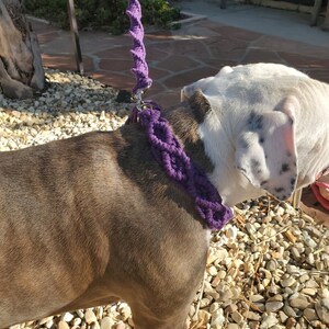Handmade Macrame Dog Collar - Etsy