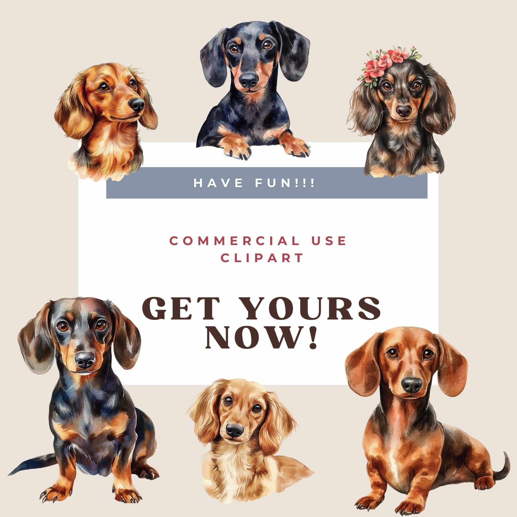Dachshunds Dog Clip Art - Long Hair Dachshunds - Commercial Use Clip ...