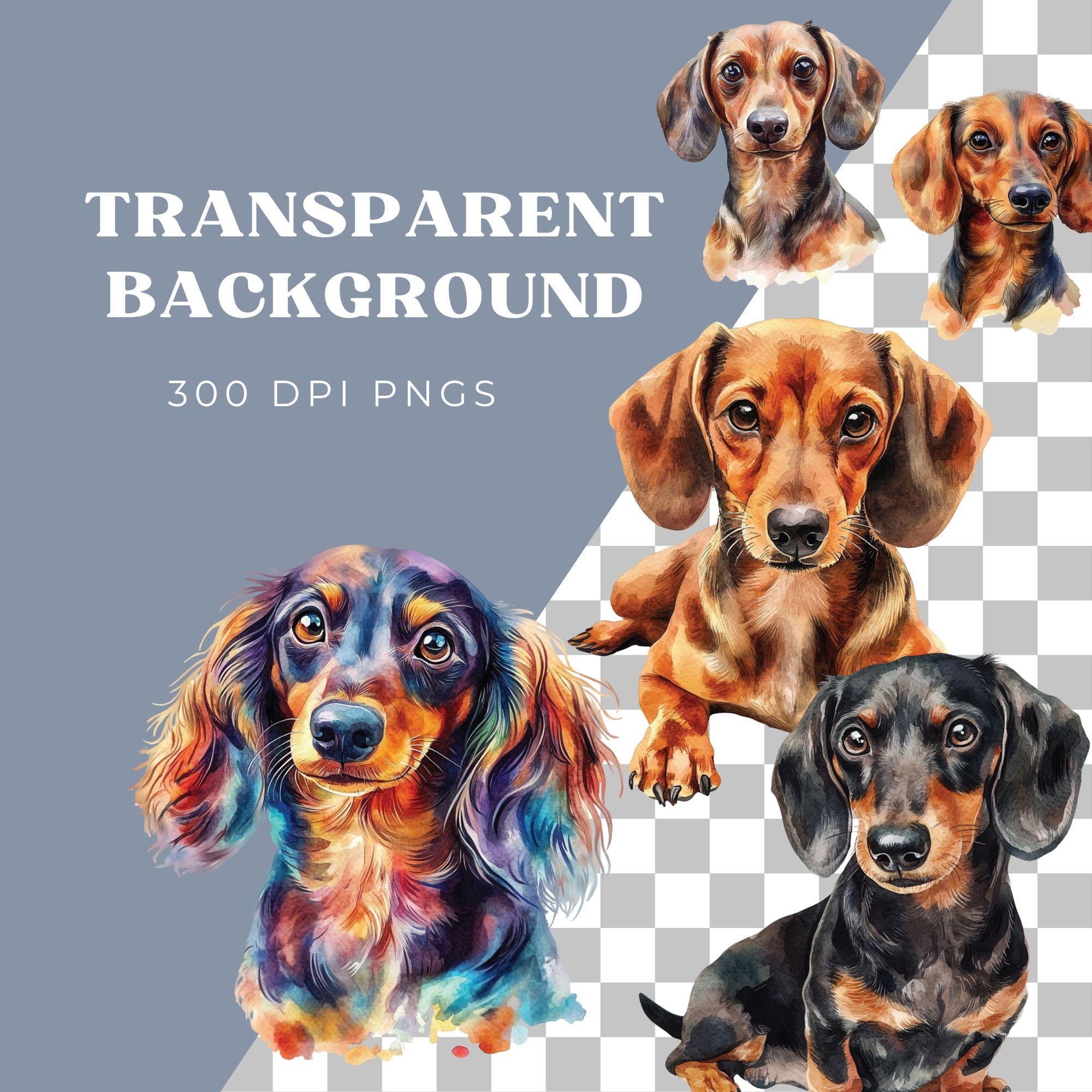 Dachshunds Dog Clip Art - Long Hair Dachshunds - Commercial Use Clip ...
