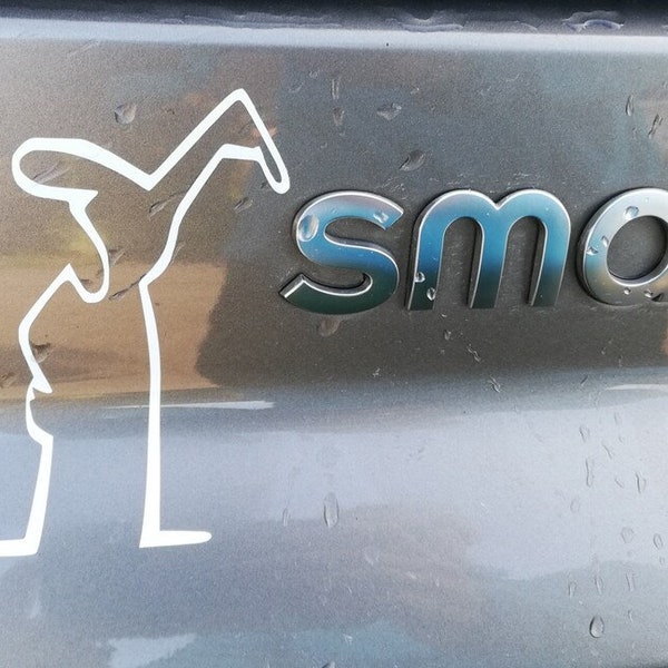 La linea autoaufkleber - Etsy.de