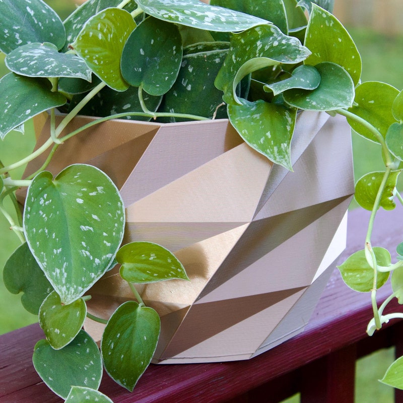 3d Printed Geometric Plant - Etsy