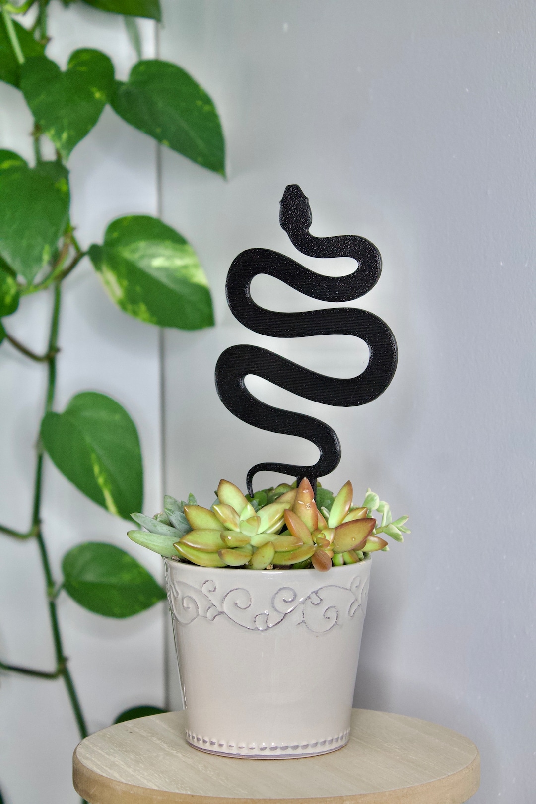 Snake Plant Stake | 3D Printed | Plant Trellis | Plant Accessories ...