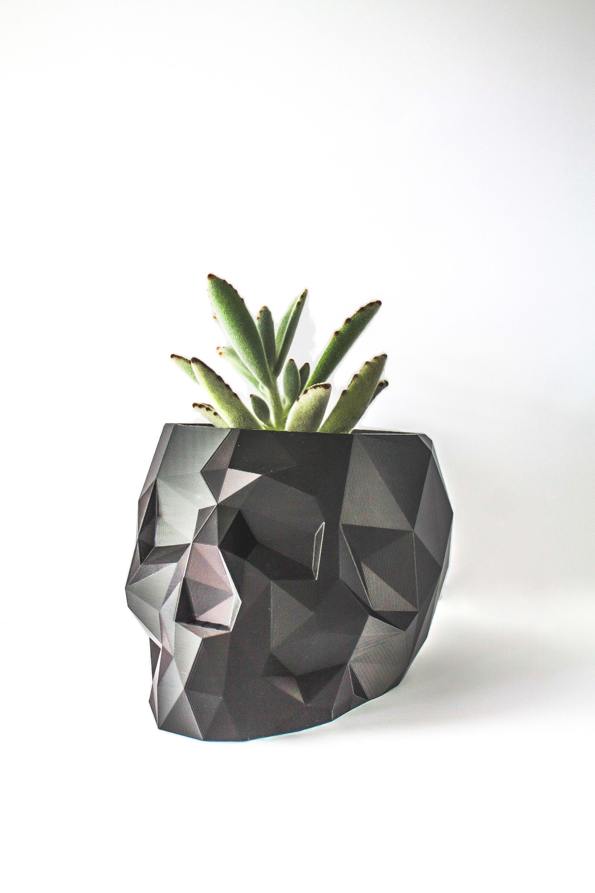 Geometric Skull Planter Low Poly Skull Pot Skull Planter - Etsy