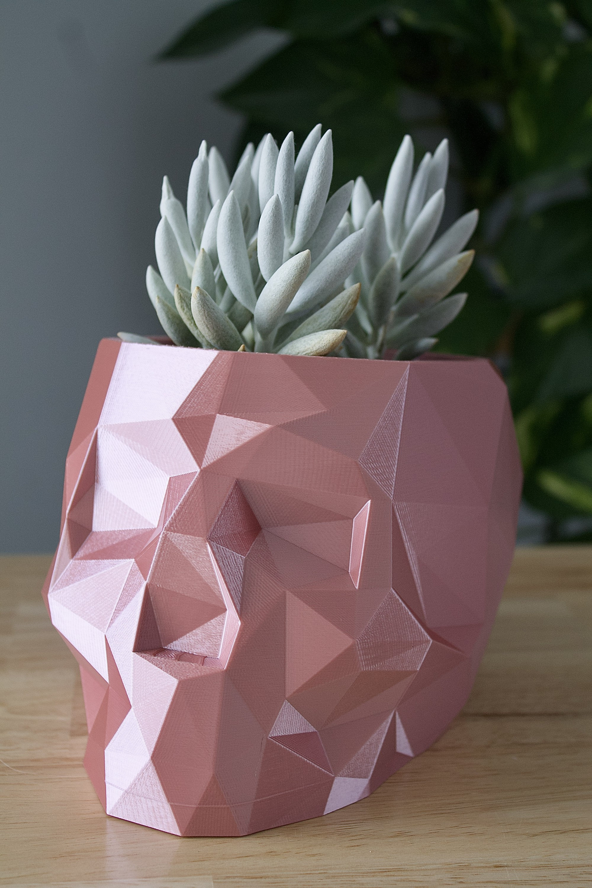 Geometric Skull Planter Low Poly Skull Pot Skull Planter | Etsy