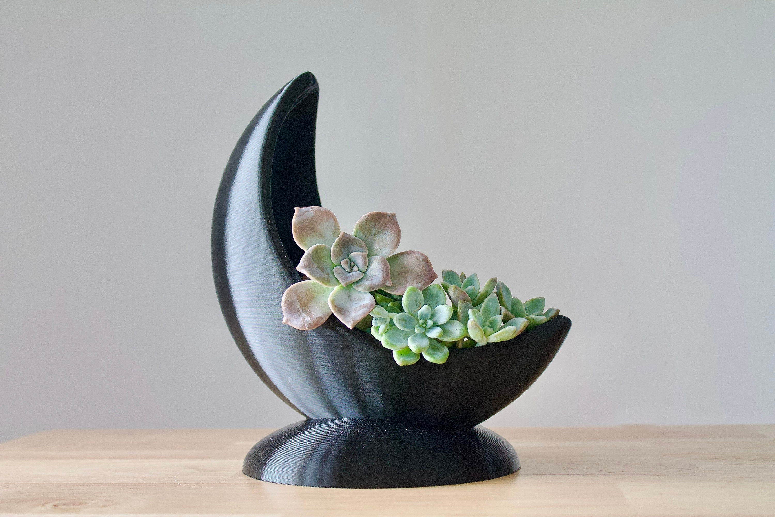Crescent Moon Planter Witchy Decor Cottagecore Moon Pot - Etsy