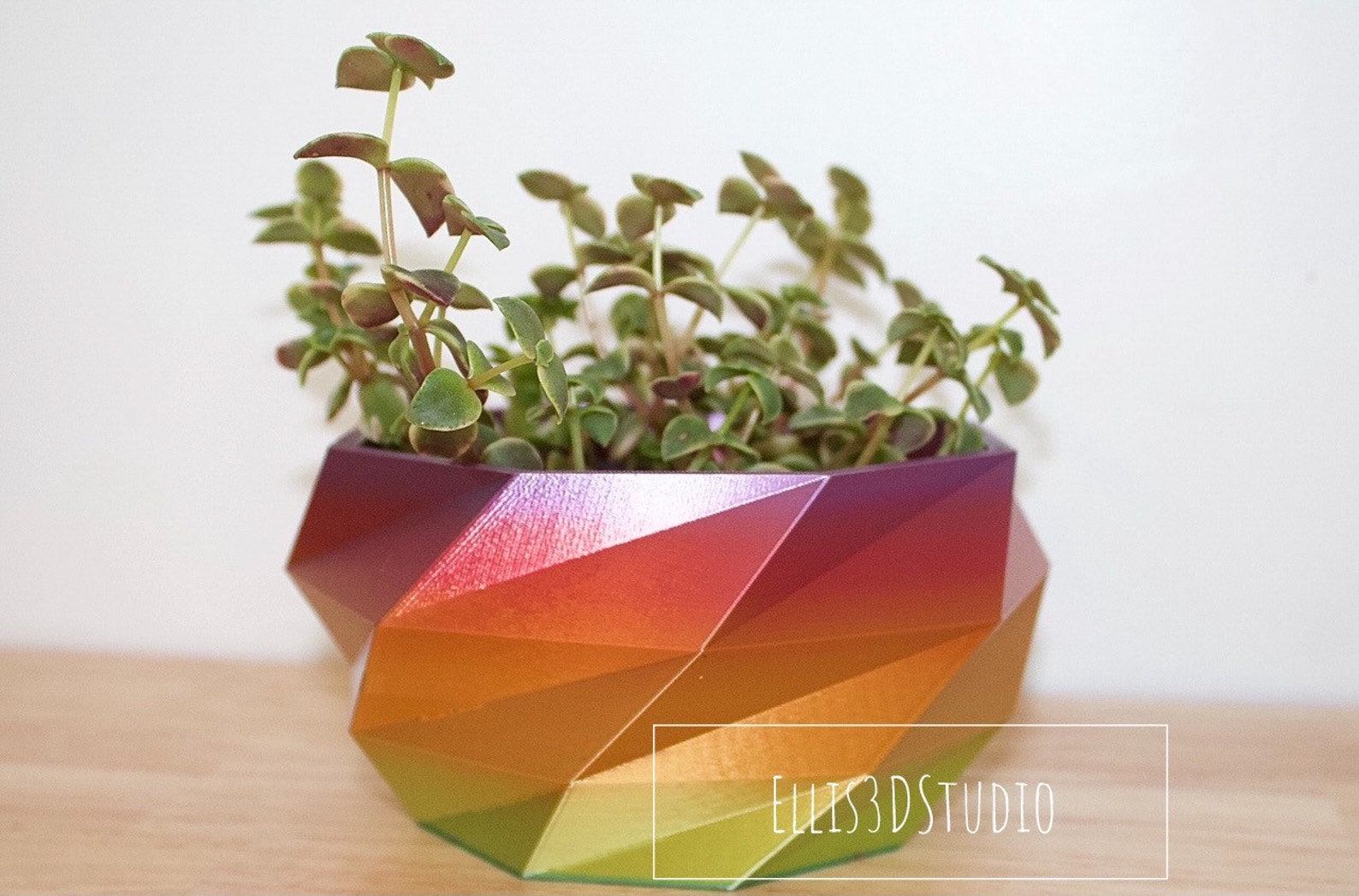 Geometric Planter 3D Printed Home Decor Succulent and - Etsy