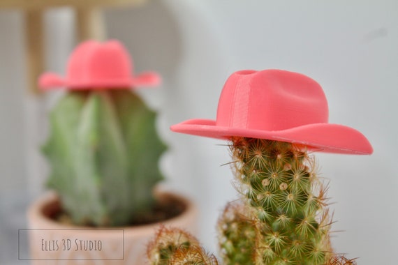 Cactus With Cowboy Hat