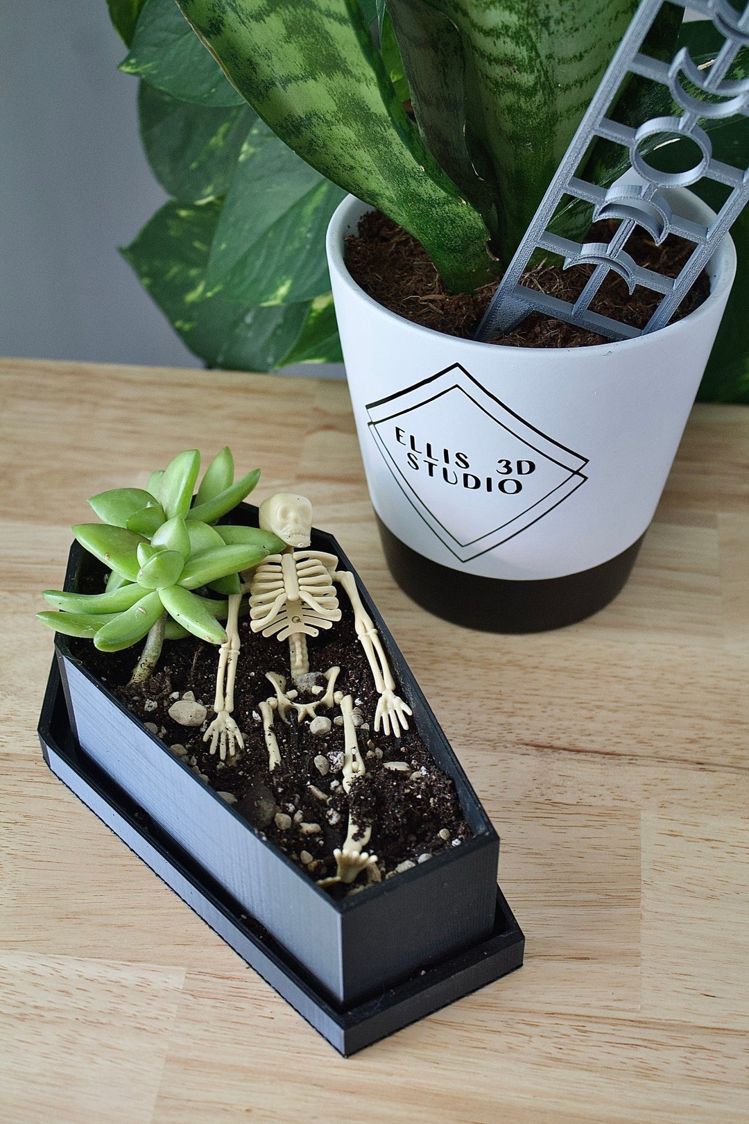 3D Printed Coffin Planter: Goth Halloween Decor With Drainage - Etsy