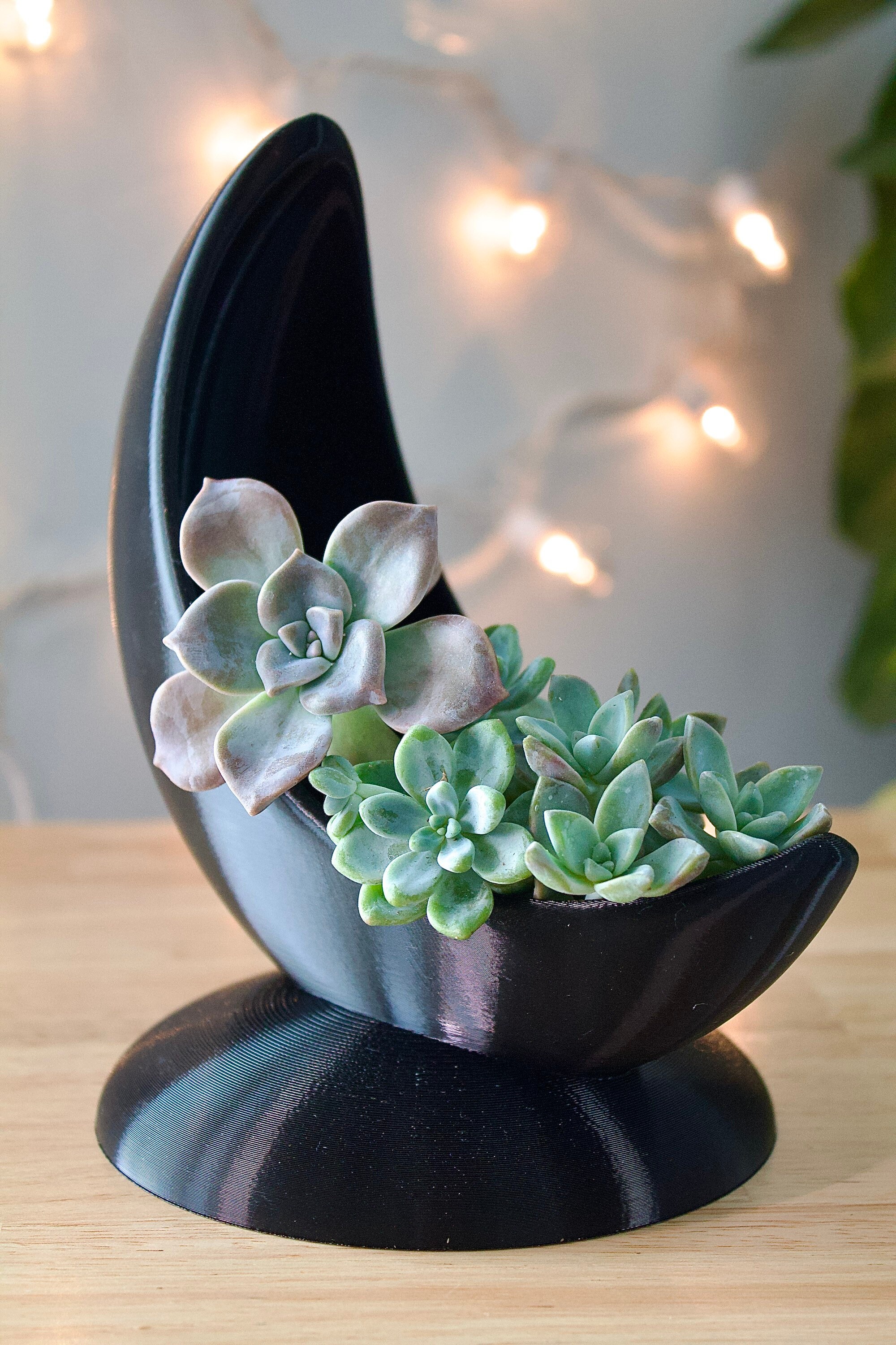 Crescent Moon Planter Witchy Decor Cottagecore Moon Pot - Etsy