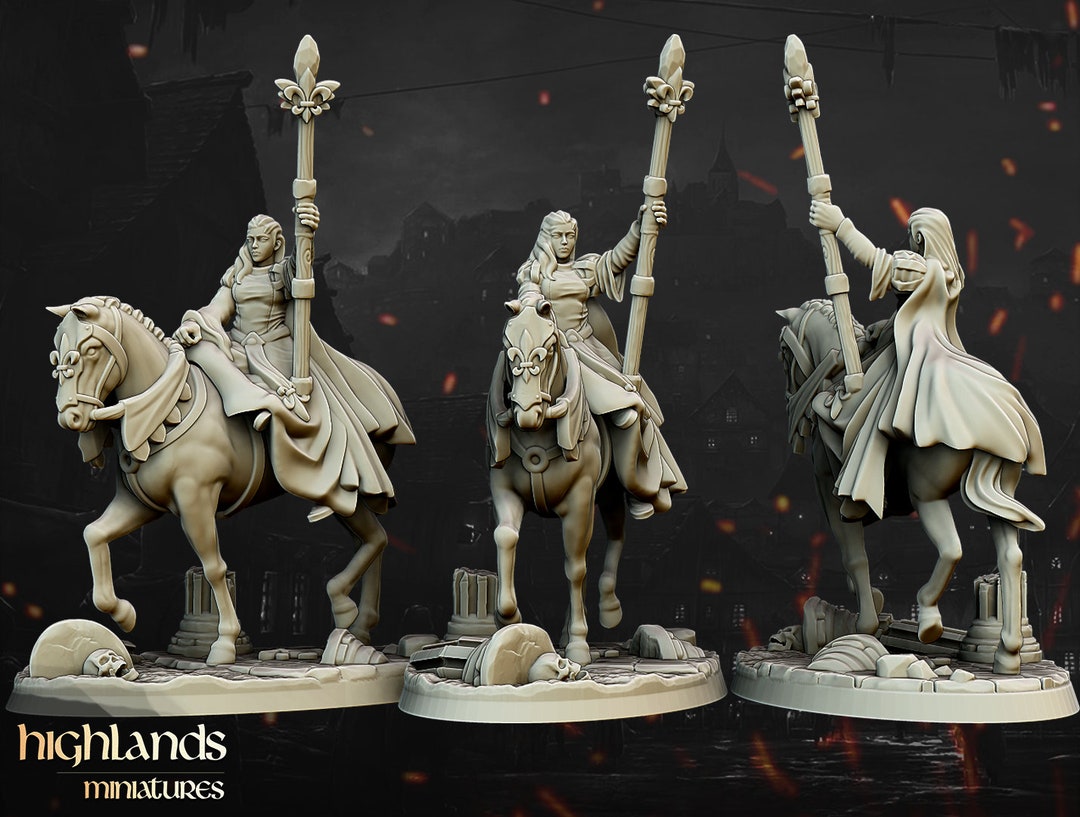Lady on Horse | Wizard | Medieval Warrior | Fantasy Resin Printed D&D ...