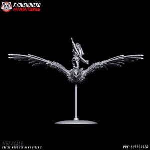 Gaelic Wood Elf Hawk Riders | Mounted Elves | Wargames RPG Dnd Fantasy ...