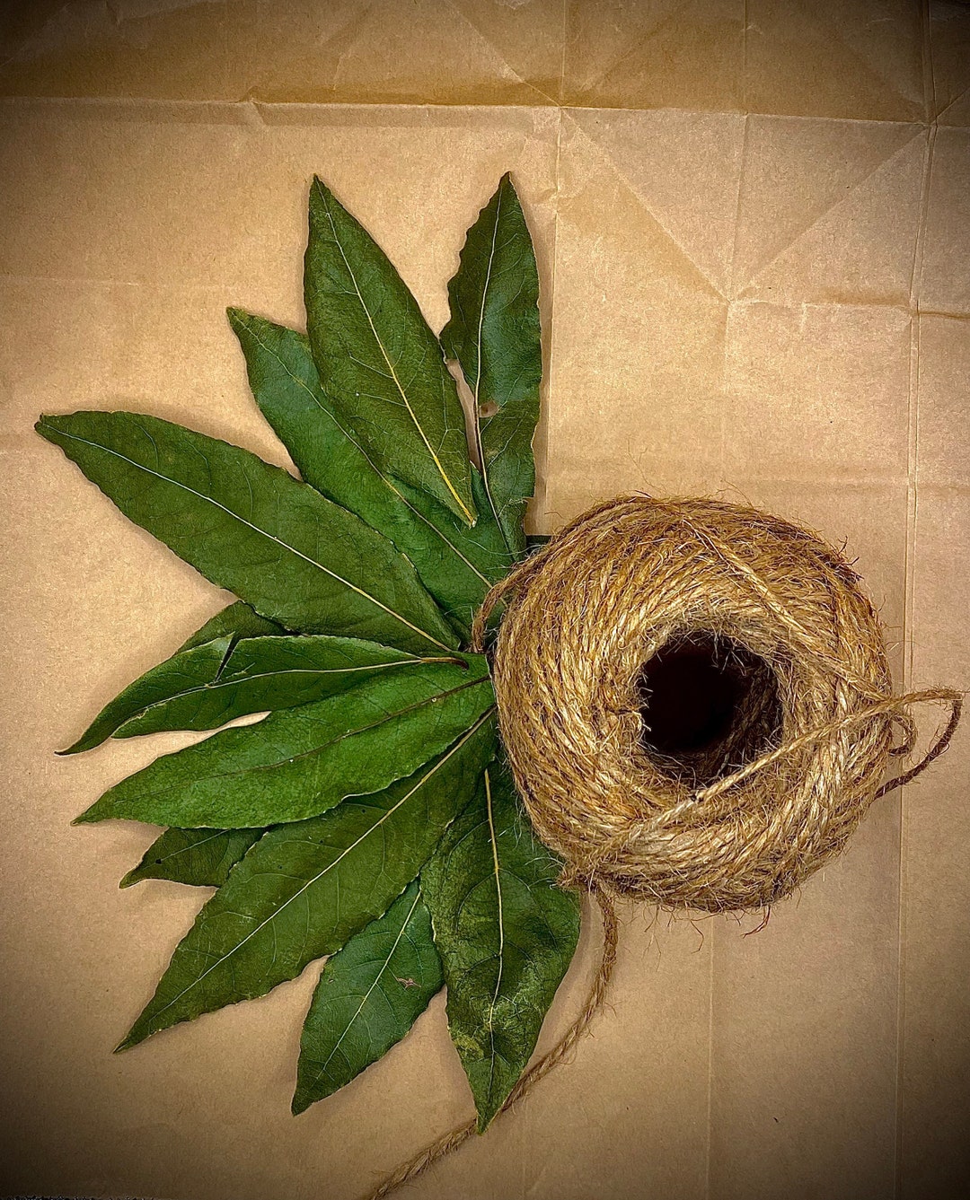 Hoja de laurel orgánica seca / Hoja de laurel orgánica seca - Etsy México