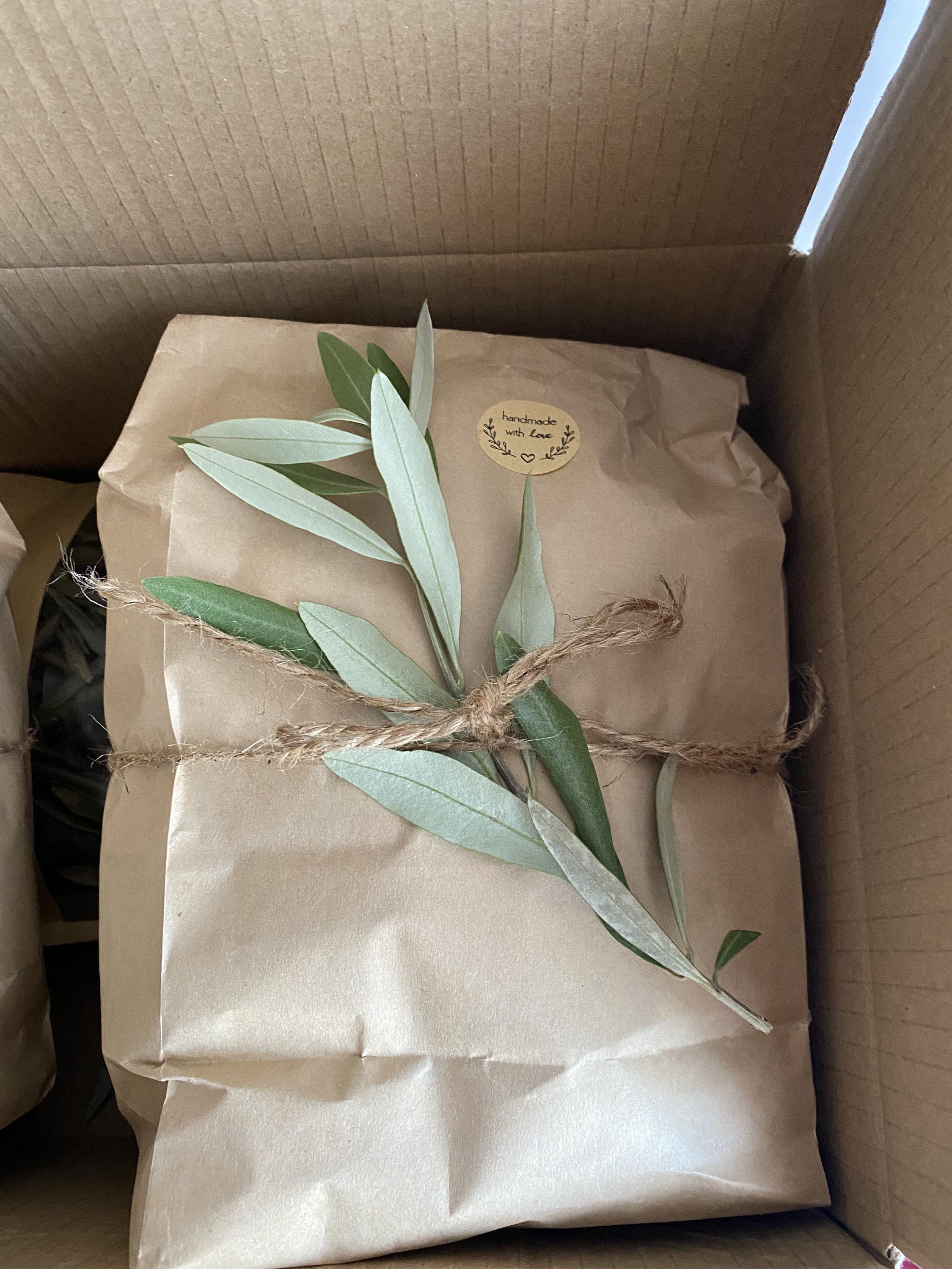 Dried Olive Tree Leaf / Organic Olive Leaf - Etsy