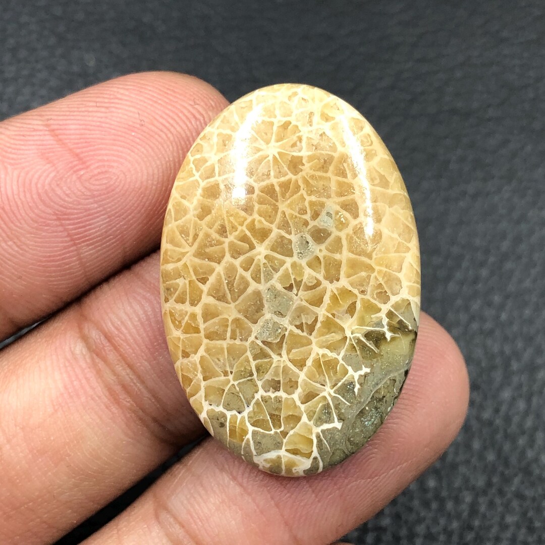 Fossil Coral Cabochon...oval Cabochon...32x21x5 Mm...32 Cts...a#n1467 ...