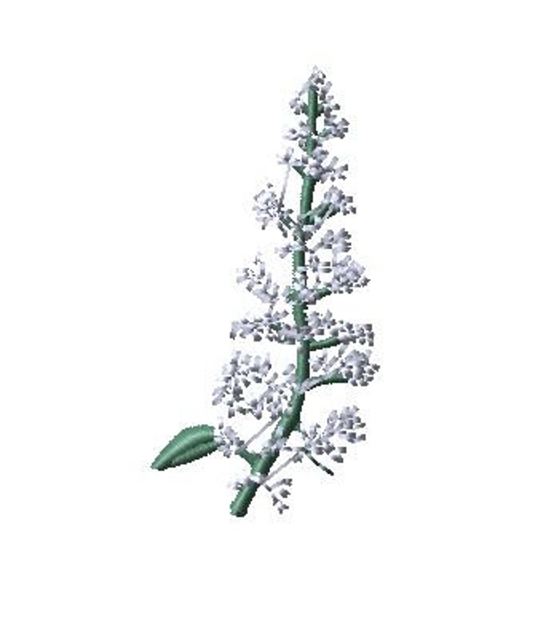 Delicate Flower Embroidery Design, Plant Embroidery, Multiple Sizes ...