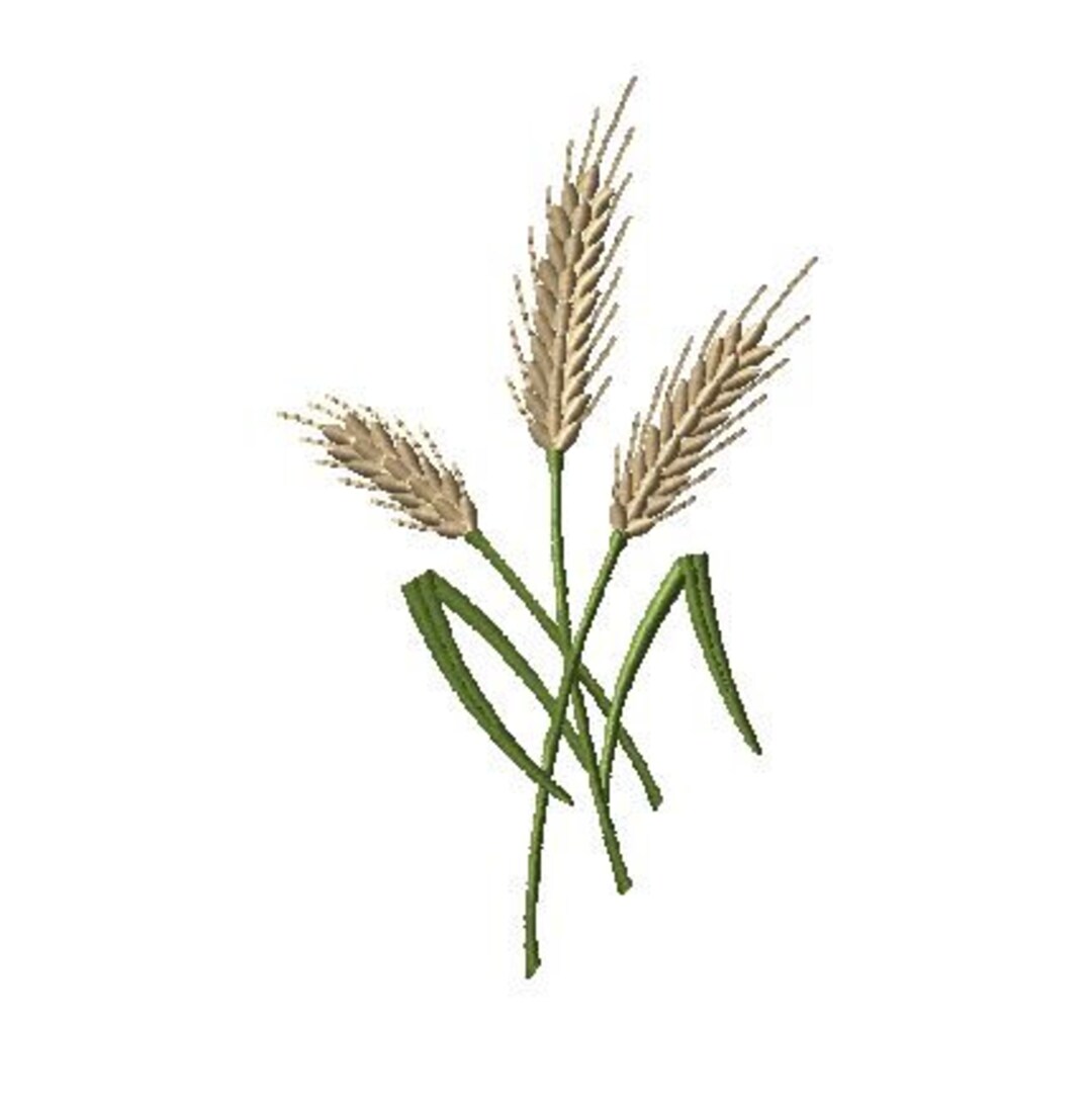 Wheat Embroidery Machine Design, Plants Embroidery Designs, Comes in 3 ...