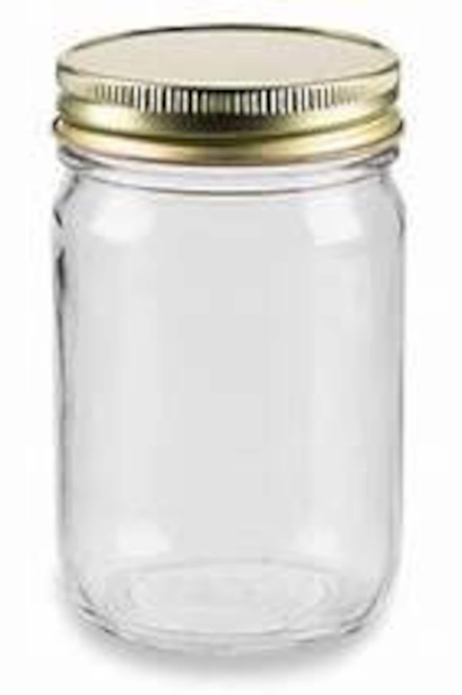 Do-it-yourself Jar Terrarium; Jar, Soil, & Random Plant ~ SHIPS FREE ...