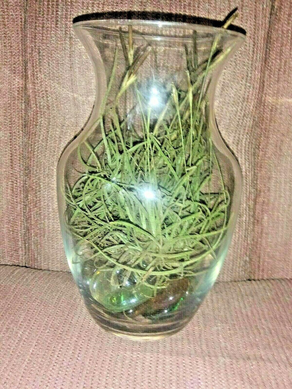 Do-it-yourself Jar Terrarium; Jar, Soil, & Random Plant ~ SHIPS FREE ...