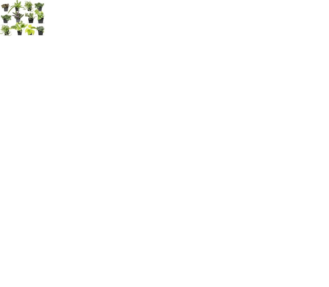 45 Pack Live Assorted Plants in 2" Pots. Grower's Choice...ships FREE ...