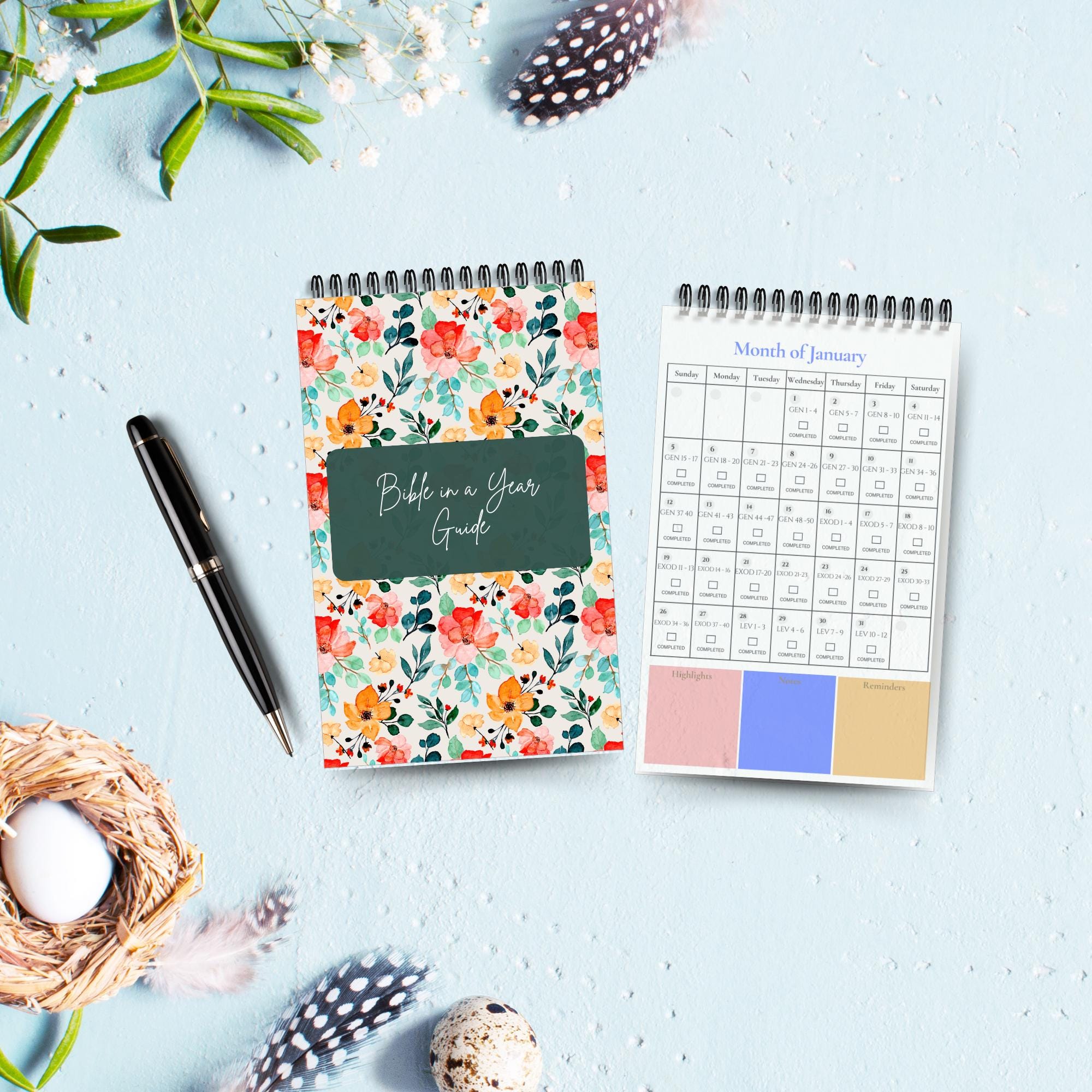 Bible in a Year 2025 Calendar Guide, Personalized Bible Calendar ...