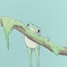 Hangin' Frog Print Cute Hanging Frog Fine Art Giclée - Etsy