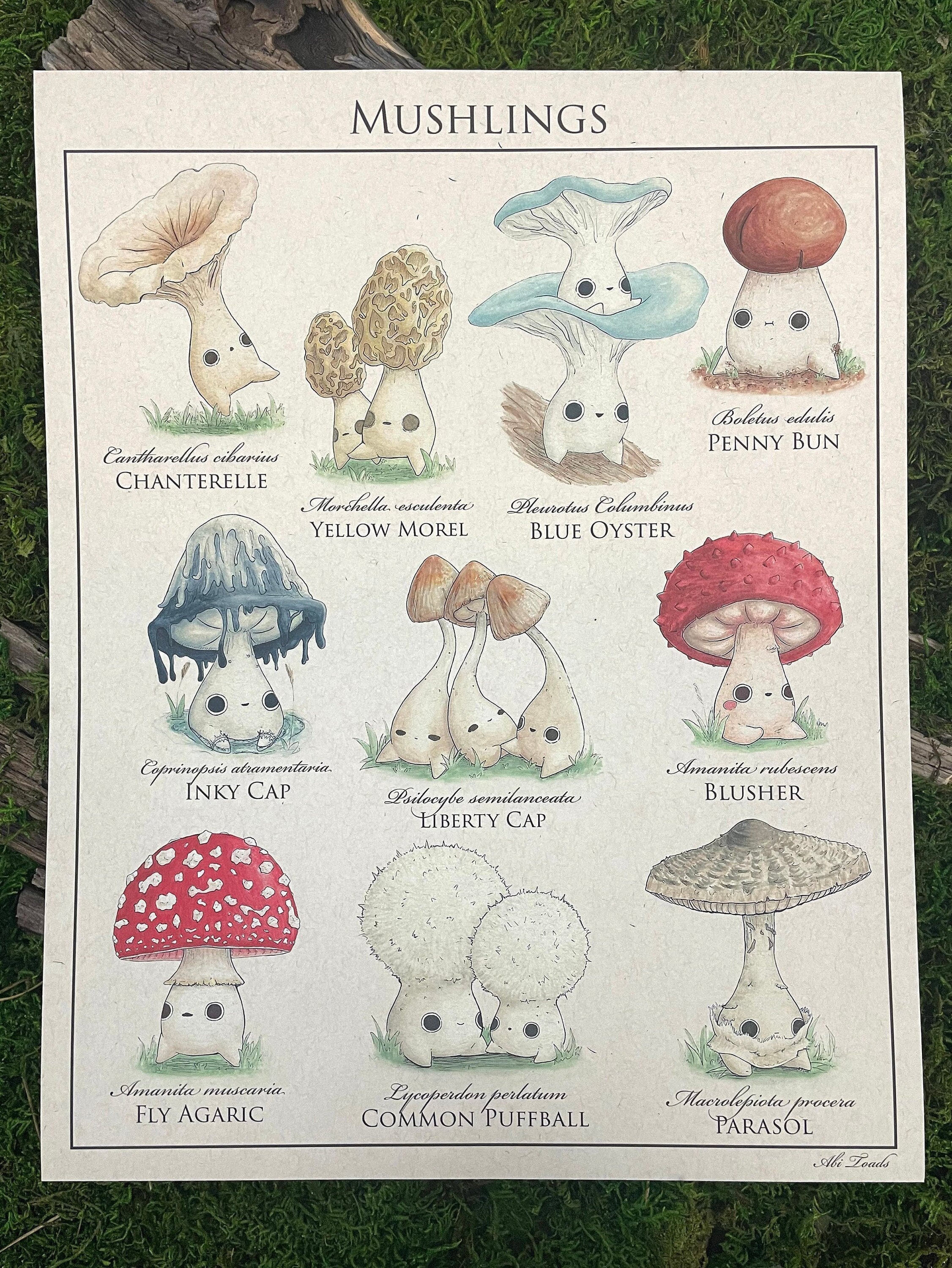 Mushling Identification Print Mushroom Botanical Fine Art - Etsy Australia