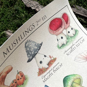 Mushling Identification Print - Mushroom Botanical Fine Art Giclée ...