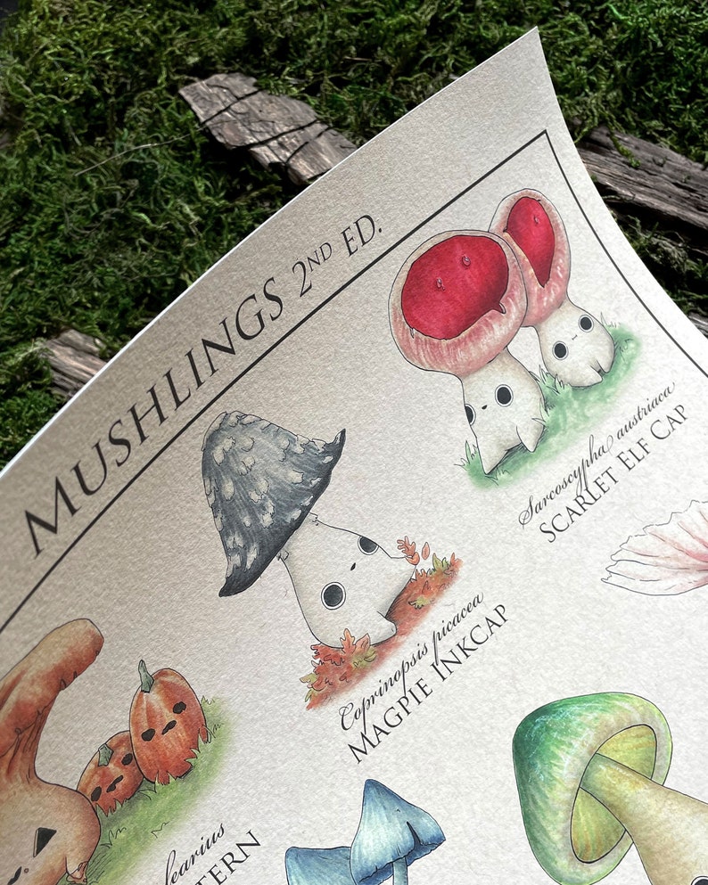Mushling Identification Print Mushroom Botanical Fine Art - Etsy Australia