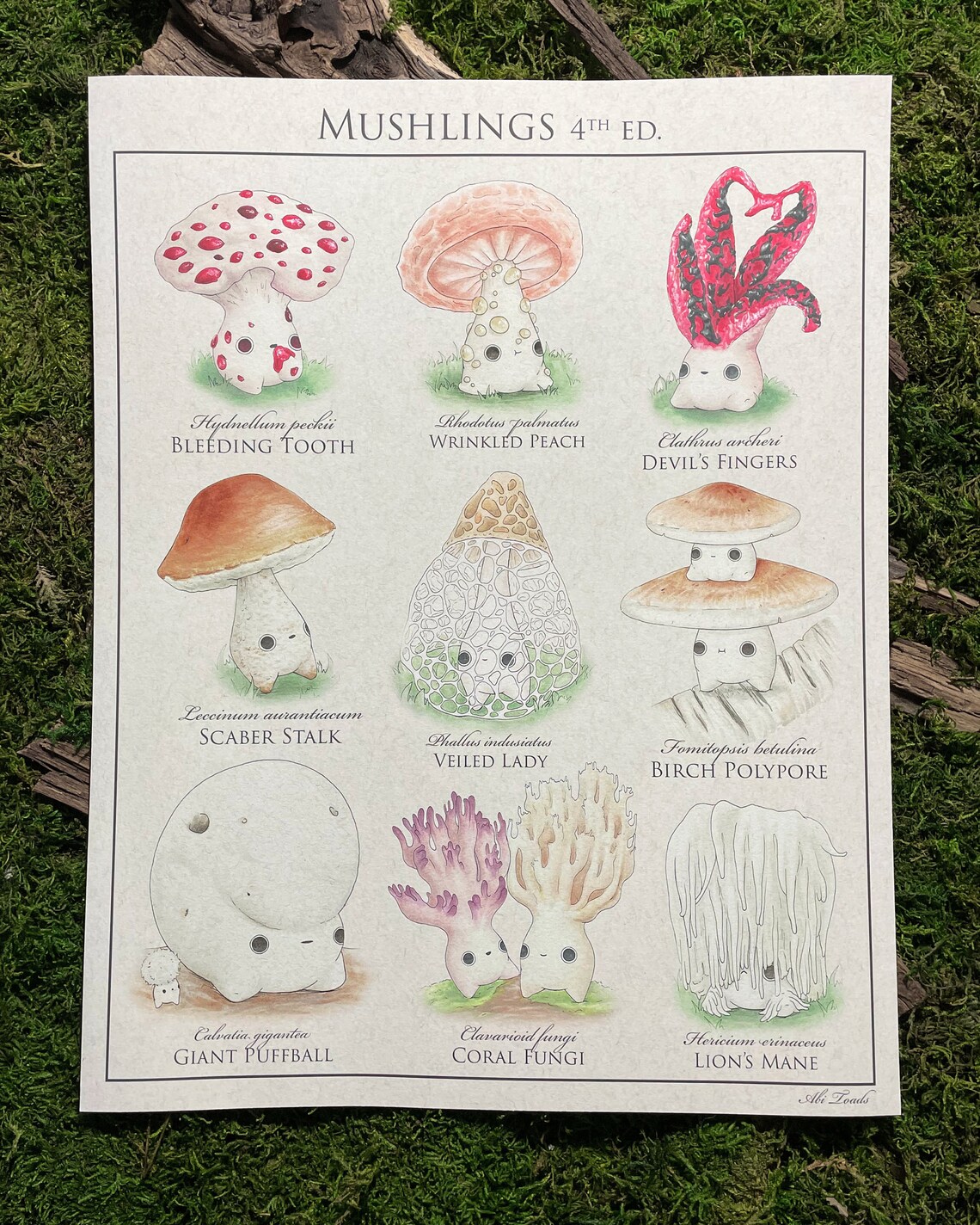 Mushling Identification Print Mushroom Botanical Fine Art - Etsy Australia