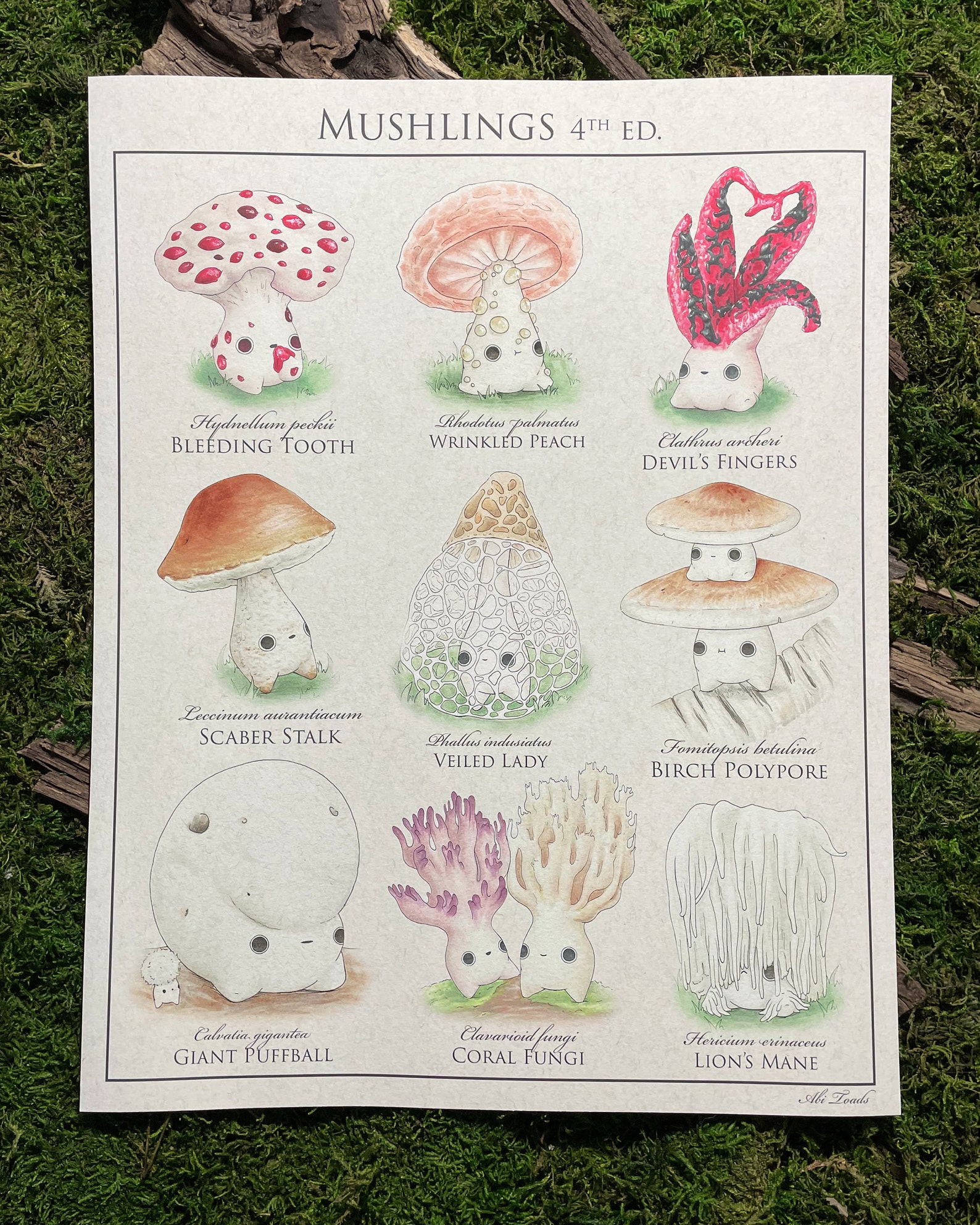 Mushling Identification Print Mushroom Botanical Fine Art Giclée Poster ...