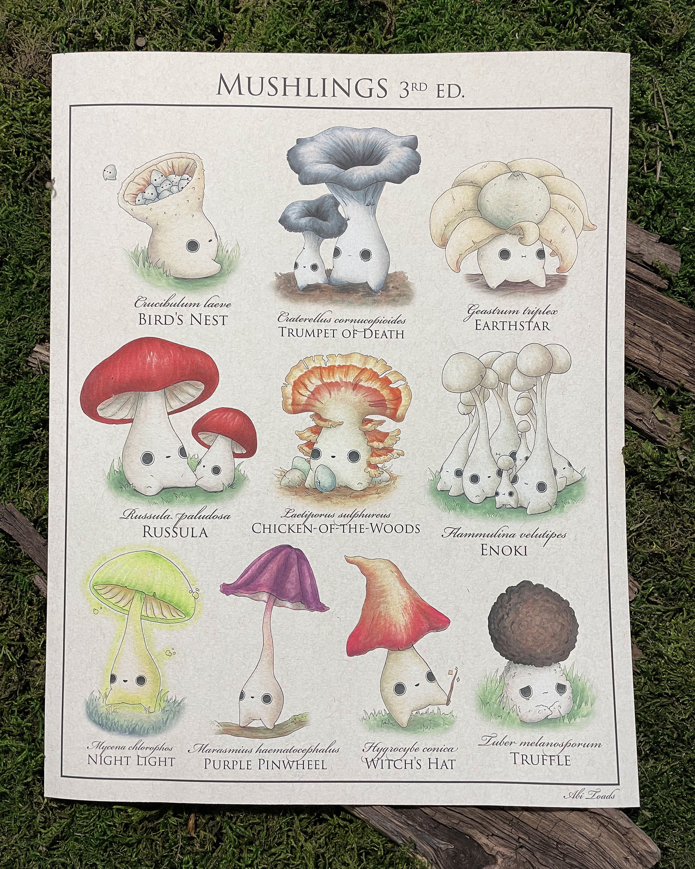 Mushling Identification Print Mushroom Botanical Fine Art - Etsy UK