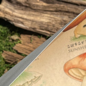 Legend of Mushlings Identification Print - Fantasy Videogame Mushroom ...