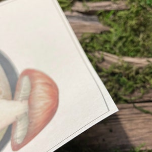 Suspicious Bath Print Mushroom Soup Fine Art Giclée Print - Etsy