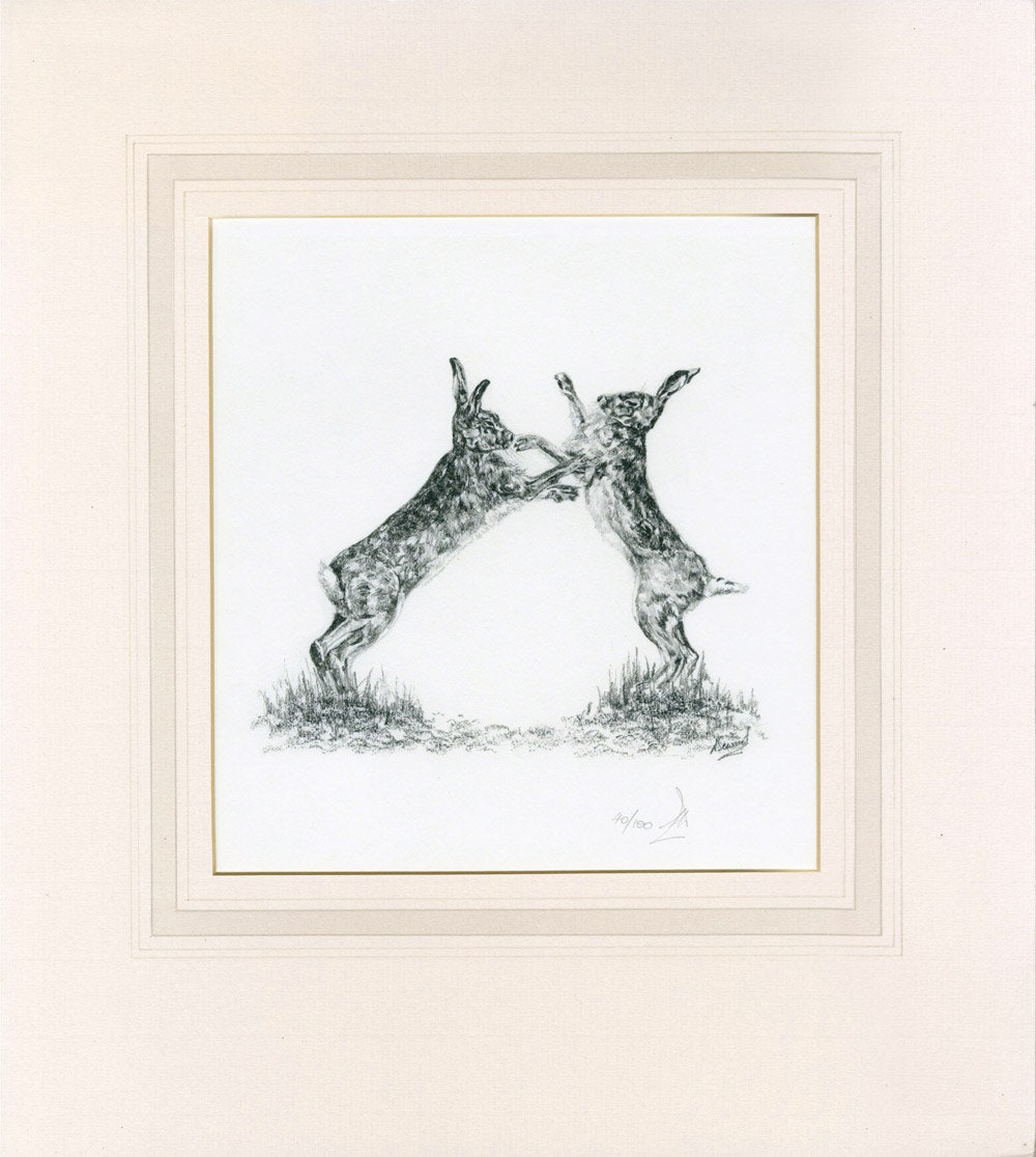Boxing Hares 4 Limited Edition Print of Brown Hares Boxing From My ...