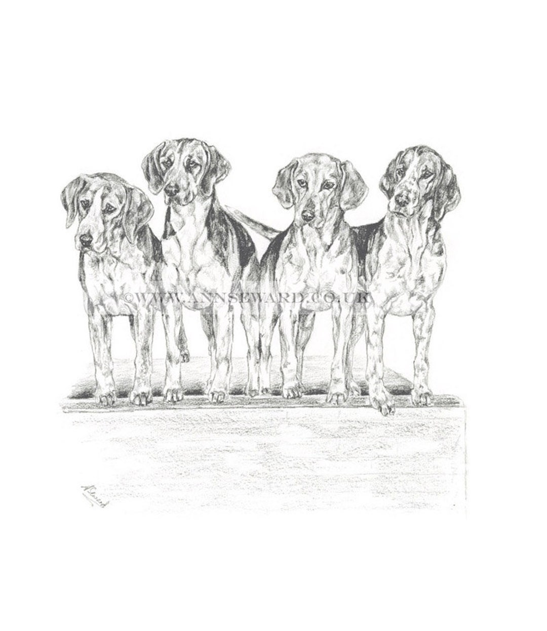Hounds Print Limited Edition Print of Four Hounds on the Bench From My ...