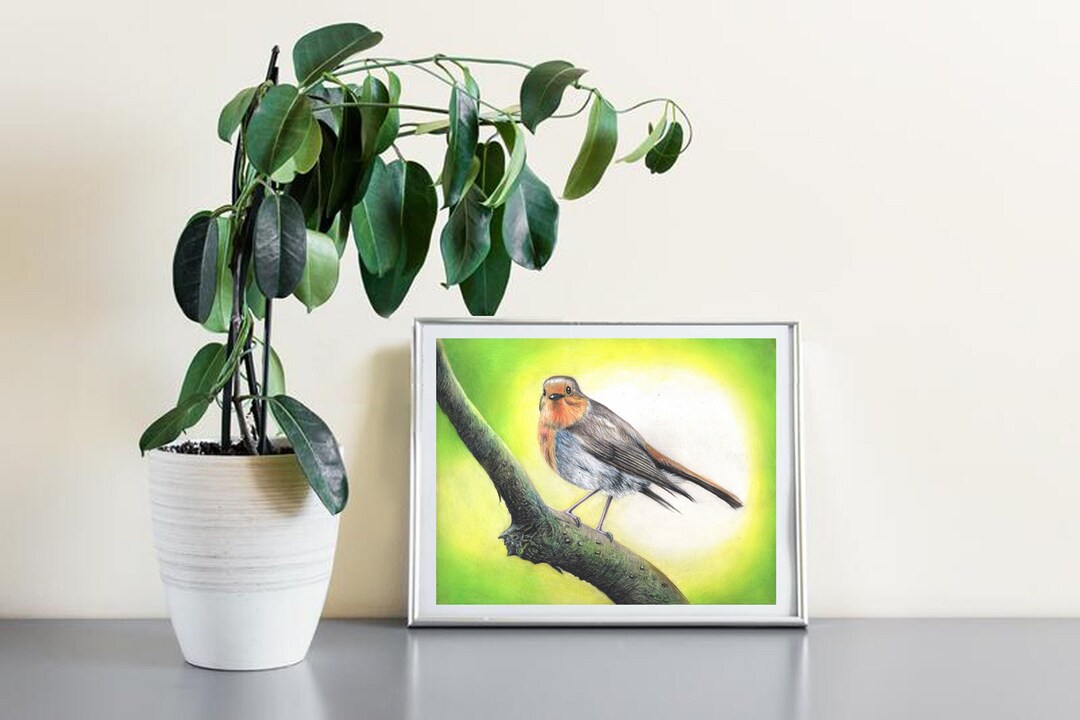 Blue Diamond Bird, Colour Pencil Drawing - Etsy