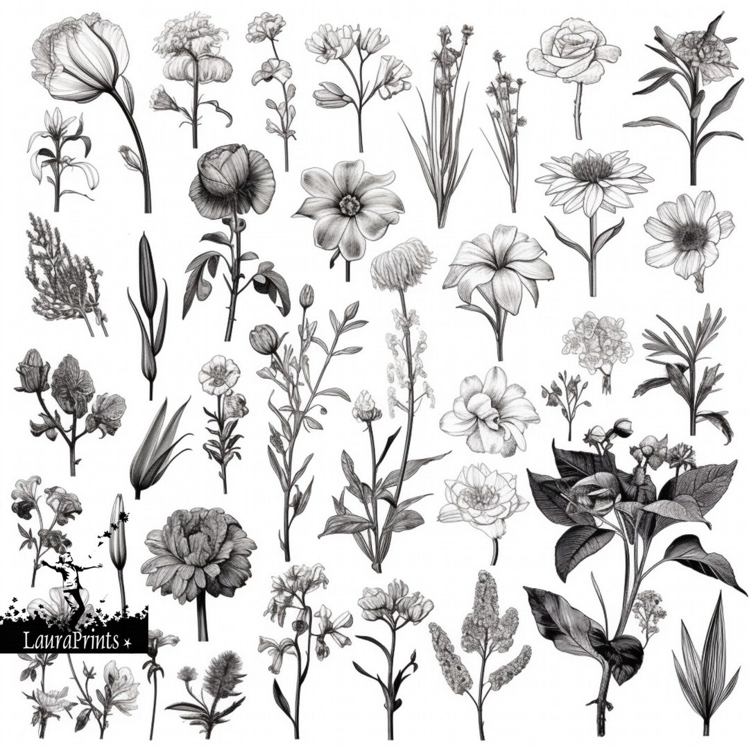 Flowers Digital Black and White Papers, Digital Download - Etsy